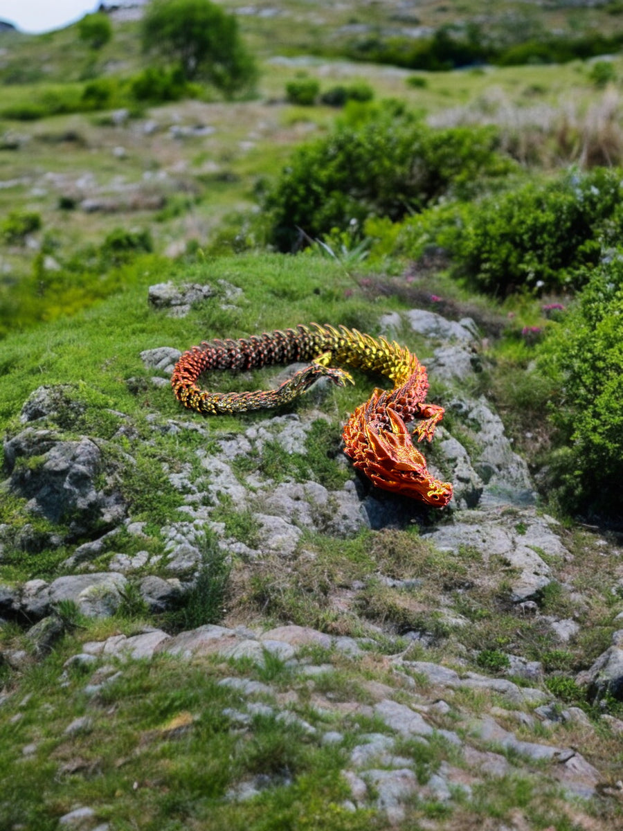 Small Chinese Dragon – Raki-Taki