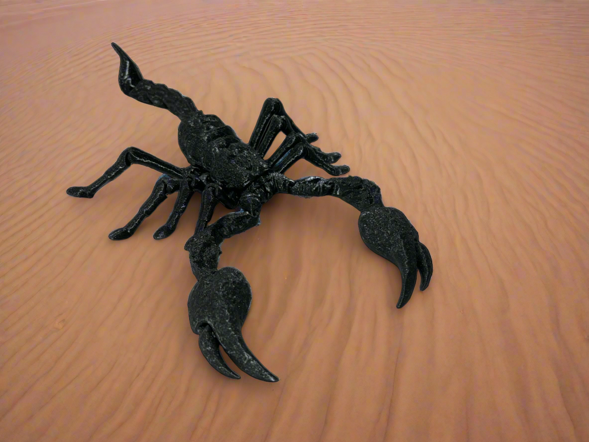 Presenting the articulated Scorpion. “Beautiful display piece” – Raki-Taki