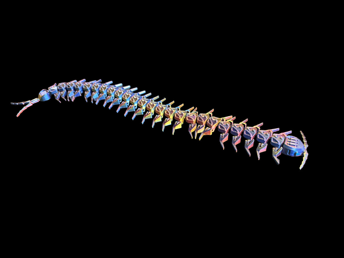 Fierce arthropod with segmented body and appendages." – Raki-Taki