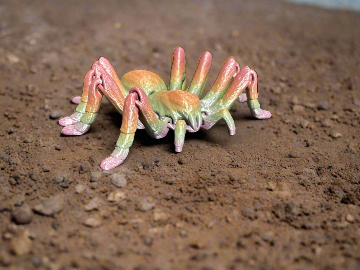 Fierce and captivating eight-legged tarantula. – Raki-Taki